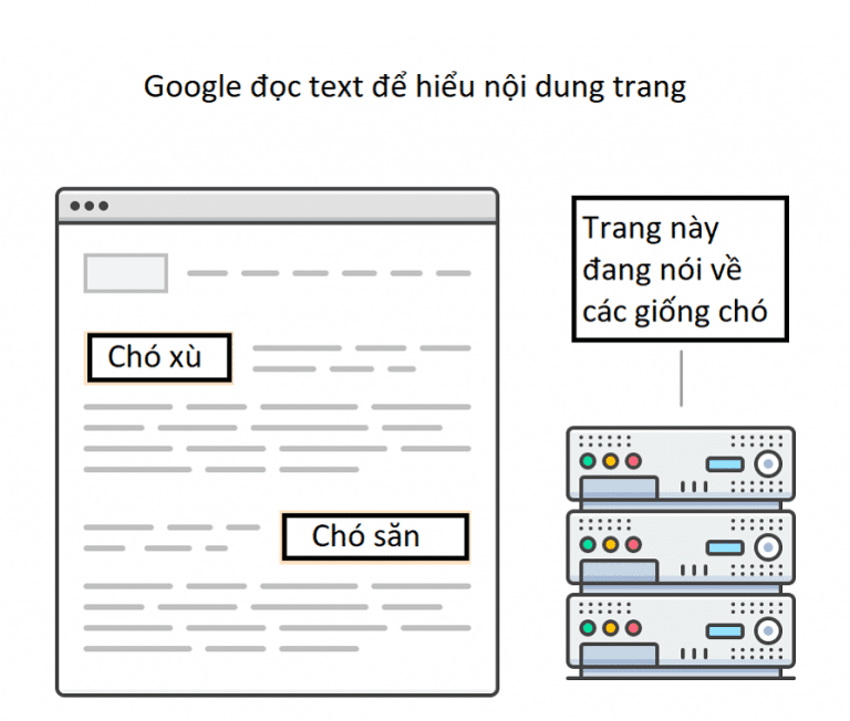 Thẻ ALT là gì? Cách Để Tối Ưu Thẻ ALT Chuẩn SEO Năm 2022 - HALO MEDIA